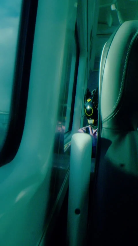 Futuristic Goth Stock Videos – Royalty-Free HD & 4K Videos | Pond5