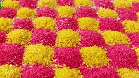 Creatbed Stock Videos – Royalty-Free HD & 4K Videos