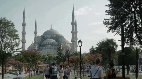 Hamham Video Stock Videos – Royalty-Free HD & 4K Videos