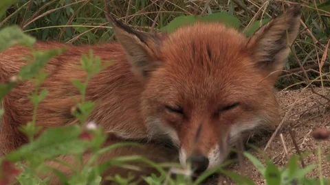 Body No Head Stock Videos – Royalty-Free HD & 4K Videos | Page 4