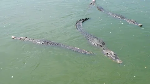 Body No Head Stock Videos – Royalty-Free HD & 4K Videos