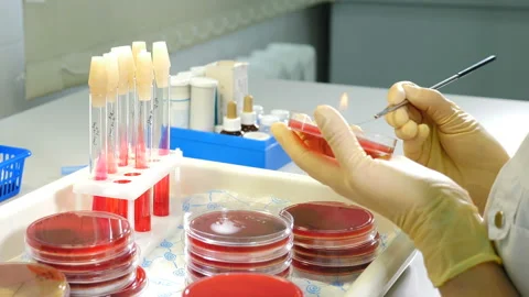 Analysis Clinic Stock Videos – Royalty-Free HD & 4K Videos