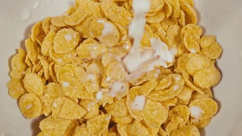 Whole Milk Healthier Stock Videos – Royalty-Free HD & 4K Videos