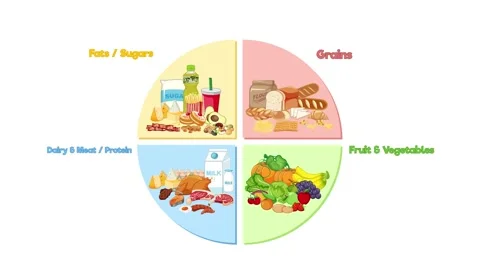 Healthy Eating: Macronutrient Portion Pi... | Stock Video | Pond5