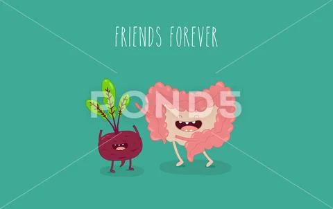 Healthy food for internal organs. Vector illustration.: Graphic #78781117