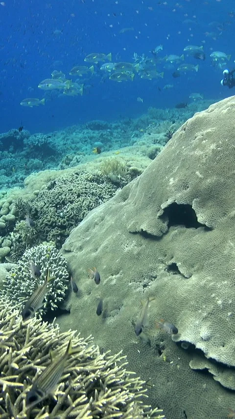 Healthy Photos Stock Videos – Royalty-Free HD & 4K Videos