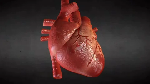 Heart beat | Stock Video | Pond5