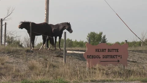 Heart Butte, Montana on the Blackfeet In... | Stock Video | Pond5
