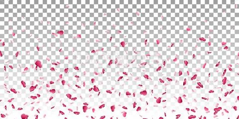 Heart falling confetti isolated white transparent background. Red fall ...