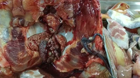 After Beat Stock Videos – Royalty-Free HD & 4K Videos