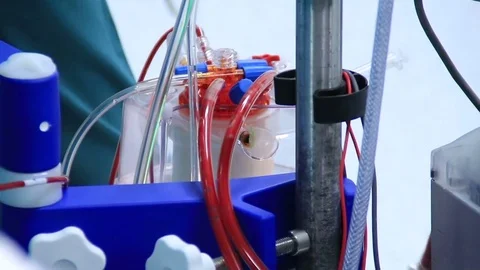 Heart Pumping Blood Stock Videos – Royalty-Free HD & 4K Videos