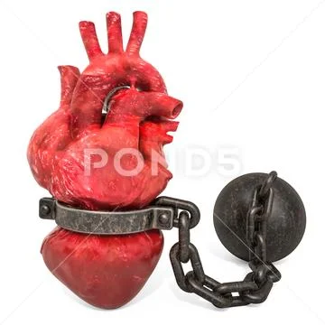 Heart Pain concept. Human heart with shackle. 3D rendering: Graphic ...