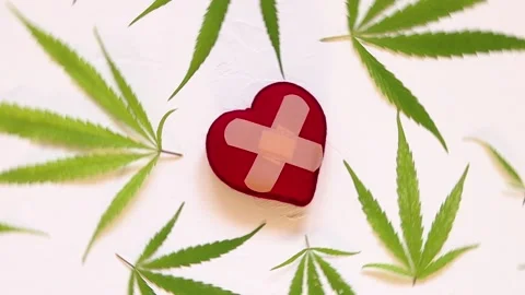 Cannabis Heart Stock Video Footage | Royalty Free Cannabis Heart Videos ...