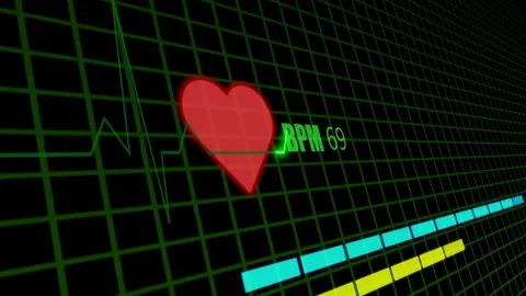 Video One Rate Stock Videos – Royalty-Free HD & 4K Videos | Pond5