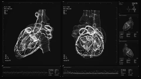 Heart scan screen animation. Blood press... | Stock Video | Pond5