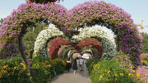 V Shaped Designs Stock Videos – Royalty-Free HD & 4K Videos | Pond5