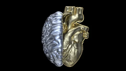 Heart vs brain, emotional vs rational, c... | Stock Video | Pond5