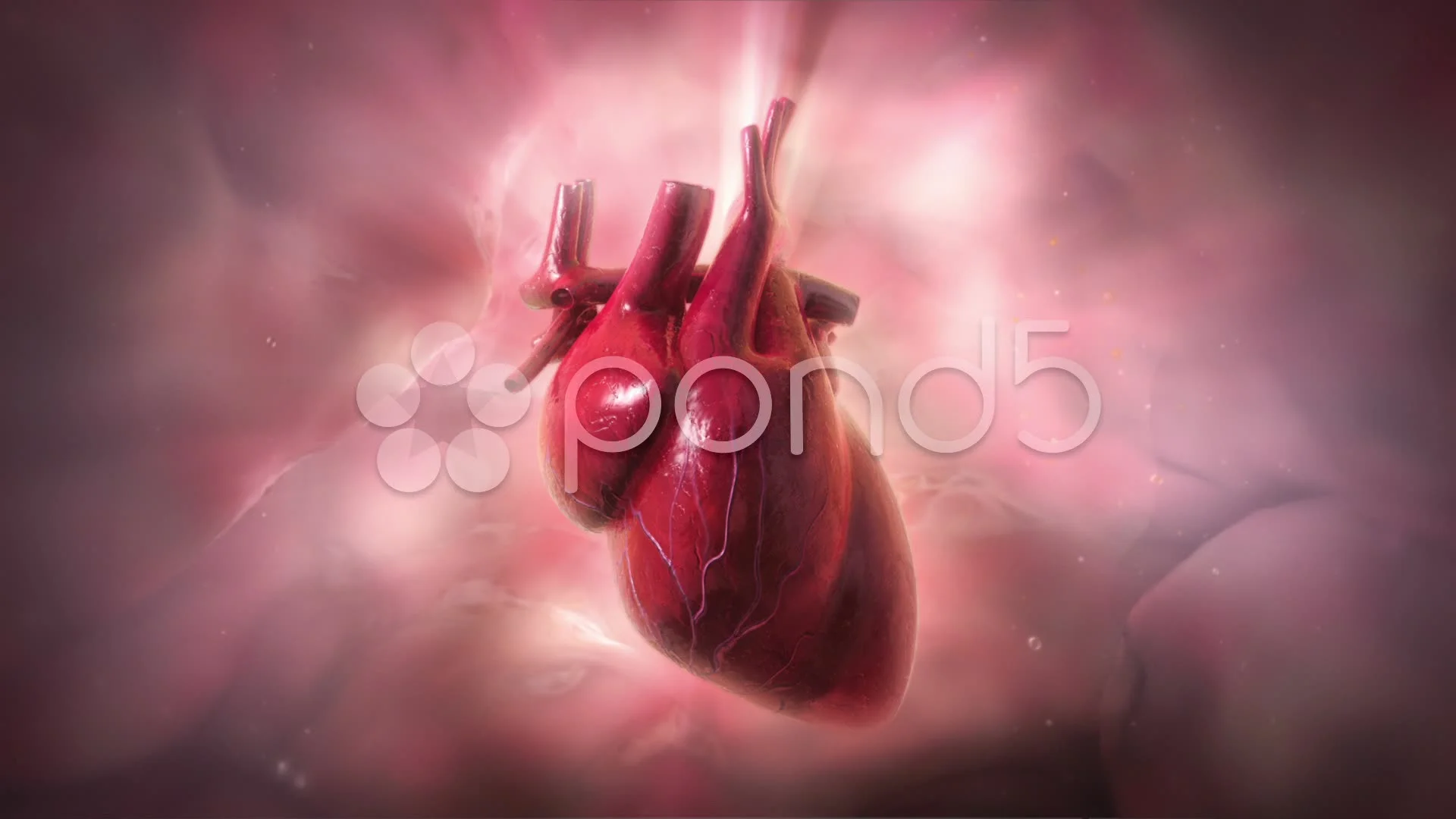 Heart Animation With Sounds