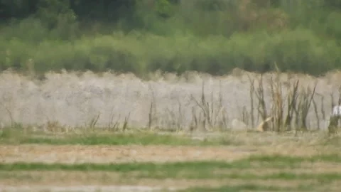 Haze Effect Stock Video Footage | Royalty Free Haze Effect Videos | Pond5