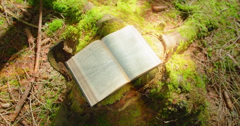 Heavenly light falls on the sacred pages... | Stock Video | Pond5
