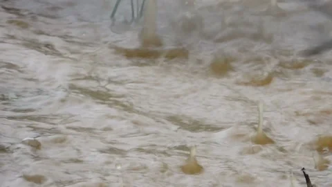 Big Drop Rain Stock Videos – Royalty-Free HD & 4K Videos