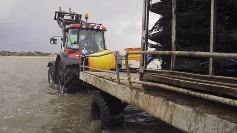Crab Traps Stock Footage ~ Royalty Free Stock Videos | Pond5