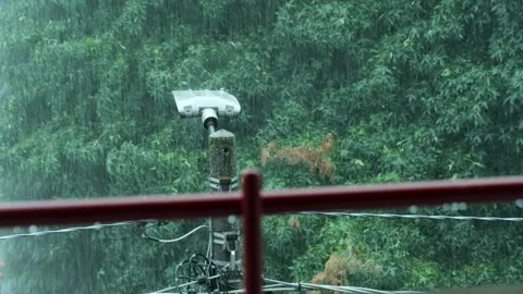 Heavy Rain Falling on a Street Light in ... | Stock Video | Pond5