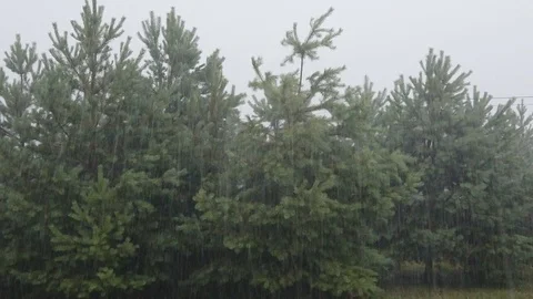 Heavy rain with hail on the background o... | Stock Video | Pond5