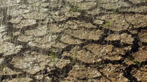 Pouring Rain Stock Video Footage | Royalty Free Pouring Rain Videos | Pond5