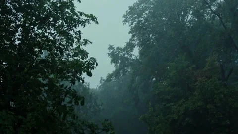 Rain X Shower Stock Videos – Royalty-Free HD & 4K Videos