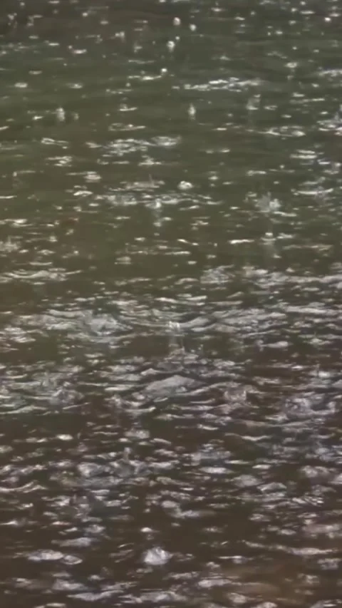 Heavy Bubbles Stock Videos – Royalty-Free HD & 4K Videos