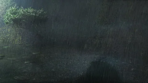 Heavy rain in wild mountain forests, Nig... | Stock Video | Pond5