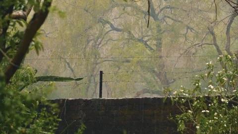 Heavy rain with wind in a rural village ... | Stock Video | Pond5