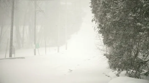Heavy Snow Falling Stock Footage ~ Royalty Free Stock Videos | Pond5
