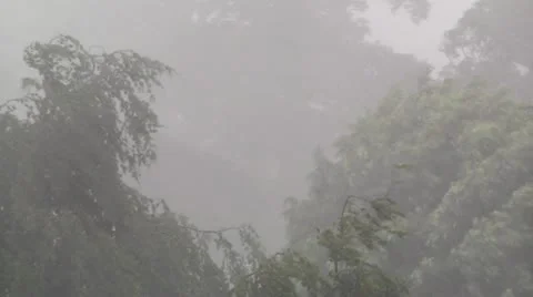 Heavy Thunderstorm Stock Videos – Royalty-Free HD & 4K Videos