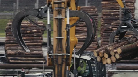 Heavy work machinery loaders at the sawm... | Stock Video | Pond5