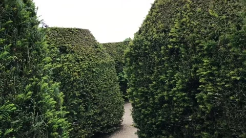 Hedgerow Stock Videos – Royalty-Free HD & 4K Videos | Pond5