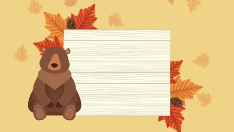 Bear Hello Stock Videos – Royalty-Free HD & 4K Videos