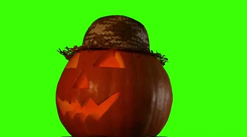 Green Screen Pumpkins Stock Video Footage | Royalty Free Green Screen ...