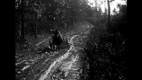 Henry Ford - man rides a cart with a hor... | Stock Video | Pond5