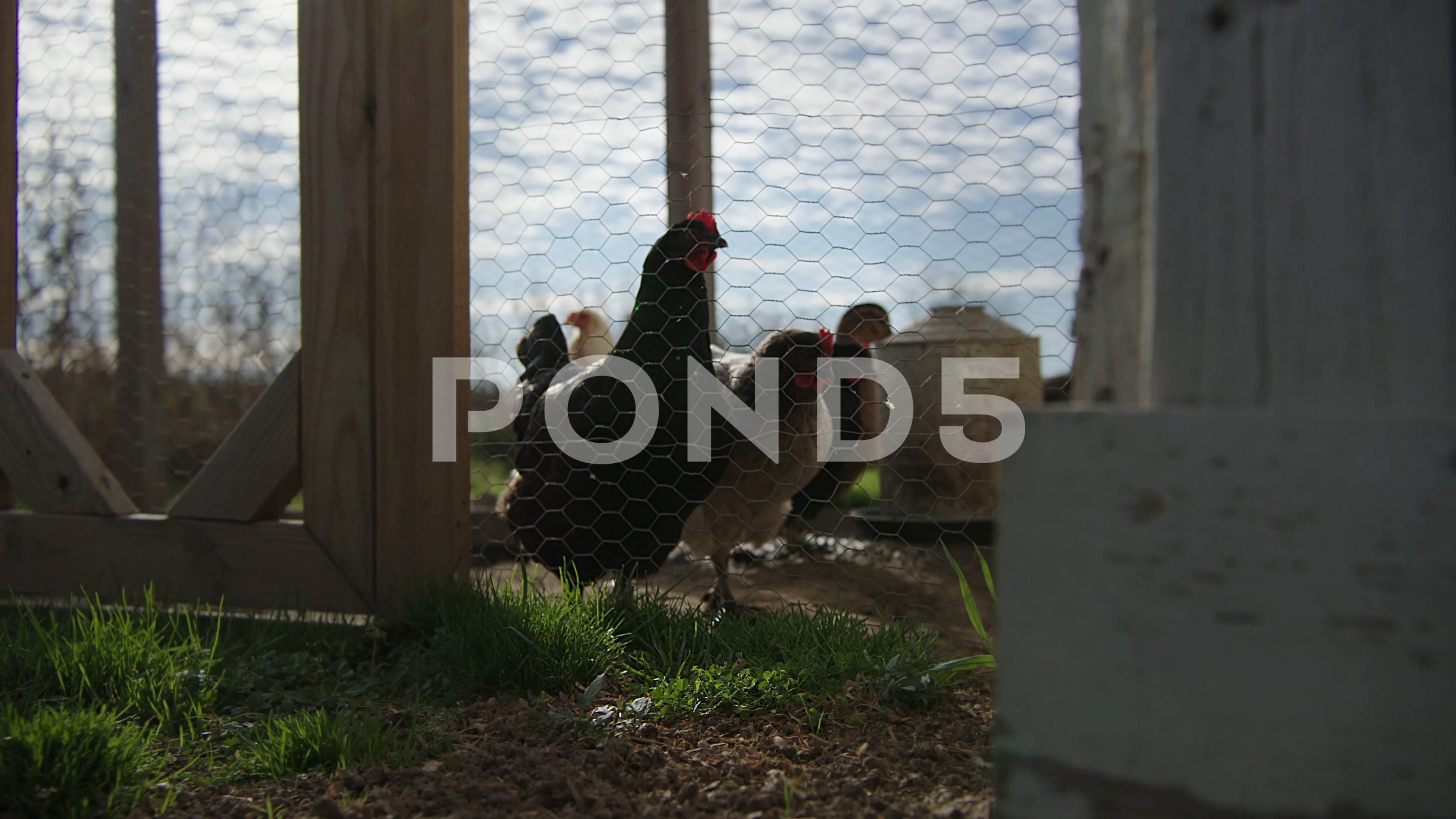 Hobby Farm Chicken Coops
