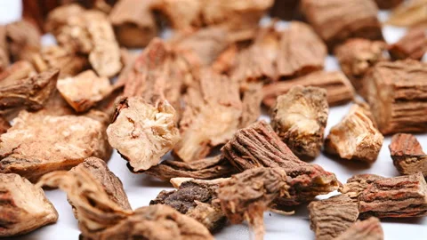 Dan O Stock Videos – Royalty-Free HD & 4K Videos | Pond5