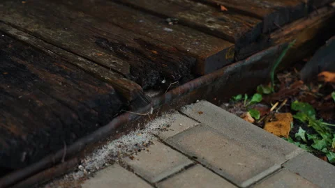 Weather Here Stock Videos – Royalty-Free HD & 4K Videos