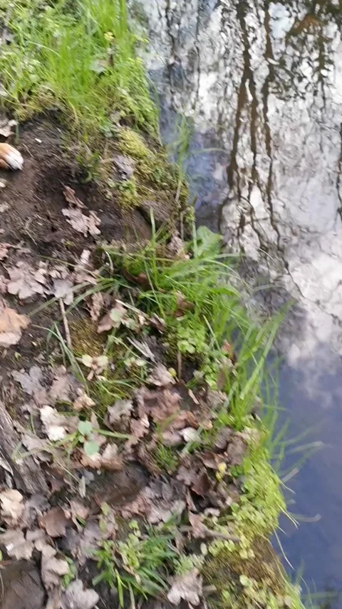 Show Up Here Stock Videos – Royalty-Free HD & 4K Videos