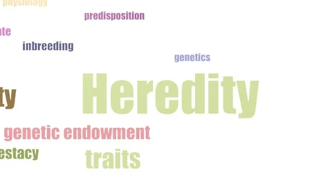 Heredity Stock Video Footage | Royalty Free Heredity Videos | Pond5