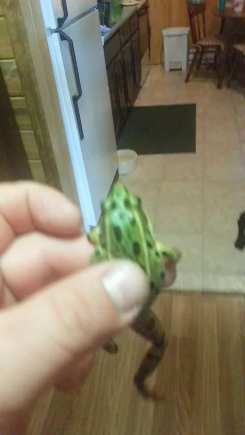 Heres Good Stock Videos – Royalty-Free HD & 4K Videos