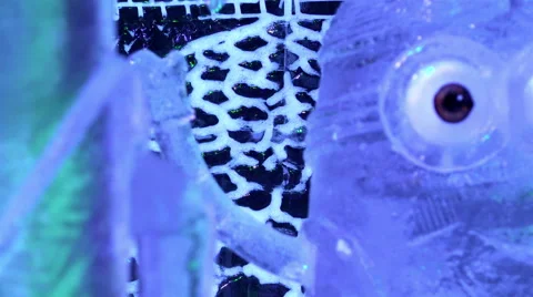 Cartoon Of Me Stock Videos – Royalty-Free HD & 4K Videos | Pond5