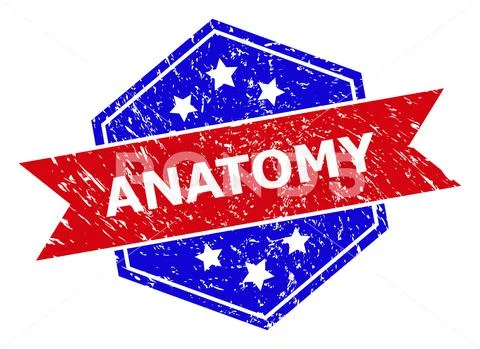 Hexagonal Bicolor ANATOMY Watermark with Rubber Texture: Graphic #152018553