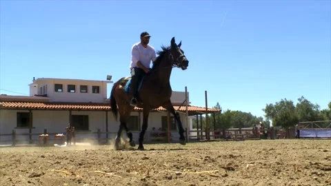 Hey man riding a horse running fast | Stock Video | Pond5