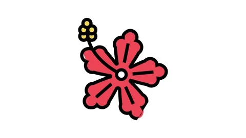 Hibiscus Line Stock Videos – Royalty-Free HD & 4K Videos
